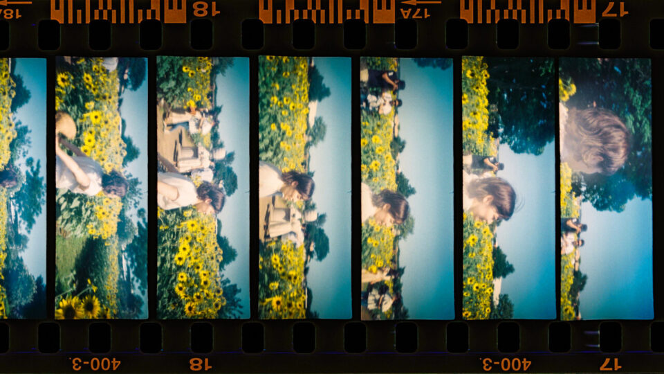 【作例あり】lomographyのフィルムカメラaction samplerとLOMOKINOの使い方Penful｜ペンフル