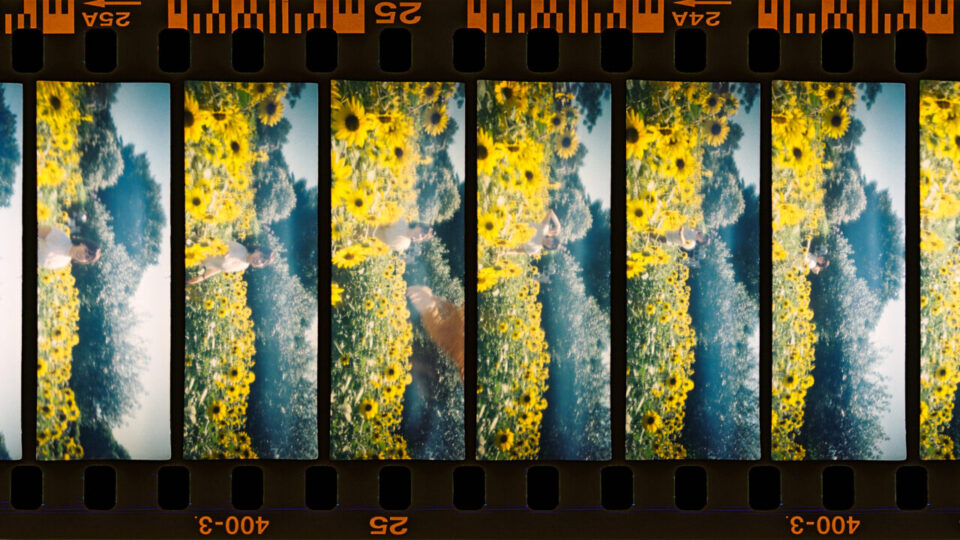 【作例あり】lomographyのフィルムカメラaction samplerとLOMOKINOの使い方Penful｜ペンフル